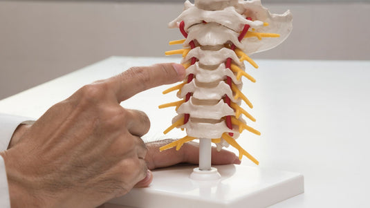 Uncodiscarthrose : qu’est-ce que c’est et comment la soigner